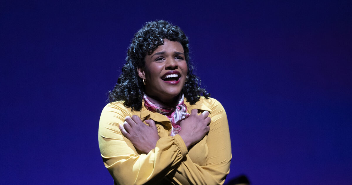 Take a Peek at the Cast of Dear World at New York City Center | Playbill