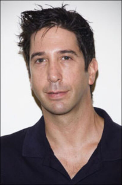 Detroit, With Amy Ryan, David Schwimmer, John Cullum, Darren Pettie ...