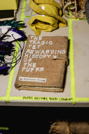 Get Up Close With the Props of Harry Potter-Inspired Puffs | Playbill