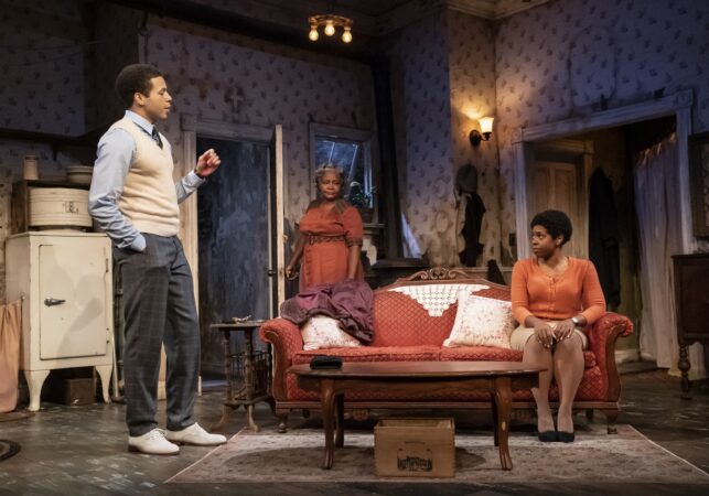 Tonya Pinkins Calls Out New York Times' Jesse Green For His Review of A ...