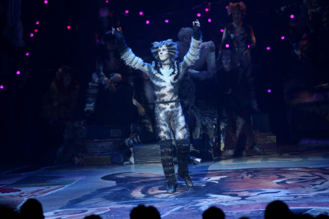 Andrew Lloyd Webber and His Cats Cast Reflect on Opening Night | Playbill