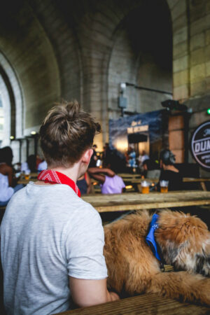 Experience Summer With Broadway Stars of Anastasia, Dear Evan Hansen ...