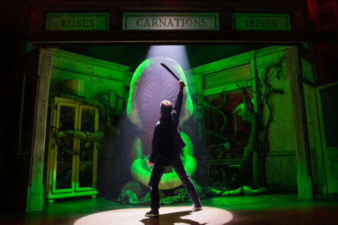 Did You Know That Audrey II in Little Shop of Horrors Is a Female Man ...