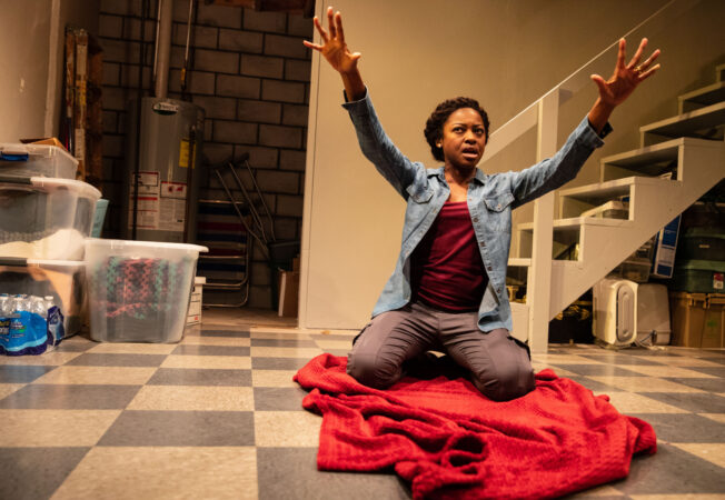 Pascale Armand Stars in Natural Shocks at Off-Broadway's WP Theater ...