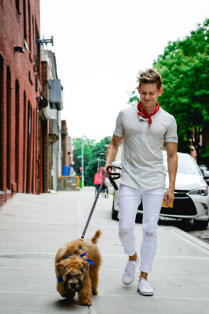 Andrew Keenan-Bolger to Star in Little Shop of Horrors at Cape ...