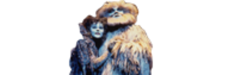 10 Incredible Digital Playbill Programs Created With PLAYBILLder | Playbill