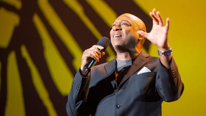 Disney's The Lion King Experience Now Available for At-Home Use | Playbill