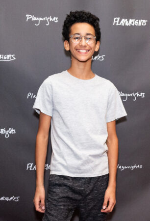 See the Cast and Creative Team of Heather Raffo's Noura Meet the Press ...