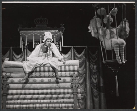 9 Things You Never Knew About Once Upon a Mattress | Playbill