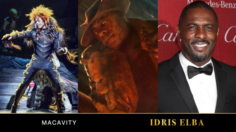 Check Out the Cast of the Cats Movie | Playbill