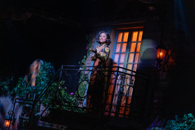 Photos: Go Inside Opening Night of Ariana DeBose-Led The Baker's Wife ...