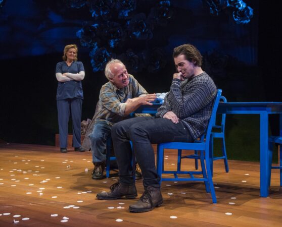 A First Look at the American Premiere of Andrew Bovell's Things I Know ...