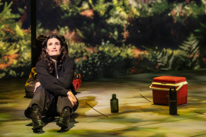 Idina Menzel-Led Redwood Musical Officially Opens on Broadway February ...