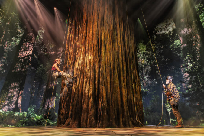 Idina Menzel-Led Redwood Musical Officially Opens on Broadway February ...