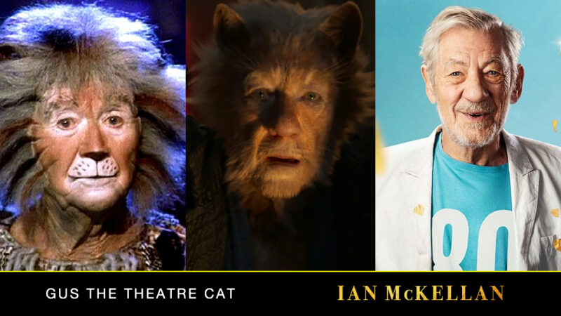 Check Out the Cast of the Cats Movie | Playbill
