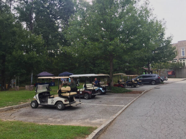 Spend the Day With Broadway’s Molly Tynes in Serenbe Playhouse’s ...