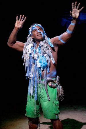 The Norm Lewis Christmas Album Now Available | Playbill