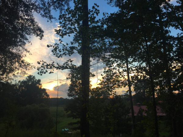 Spend the Day With Broadway’s Molly Tynes in Serenbe Playhouse’s ...