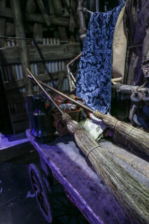 First Look at Vicki Lewis in Anastasia on Broadway | Playbill