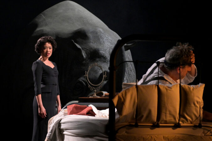 A Look at Eugène Ionesco's Rhinoceros in San Francisco | Playbill