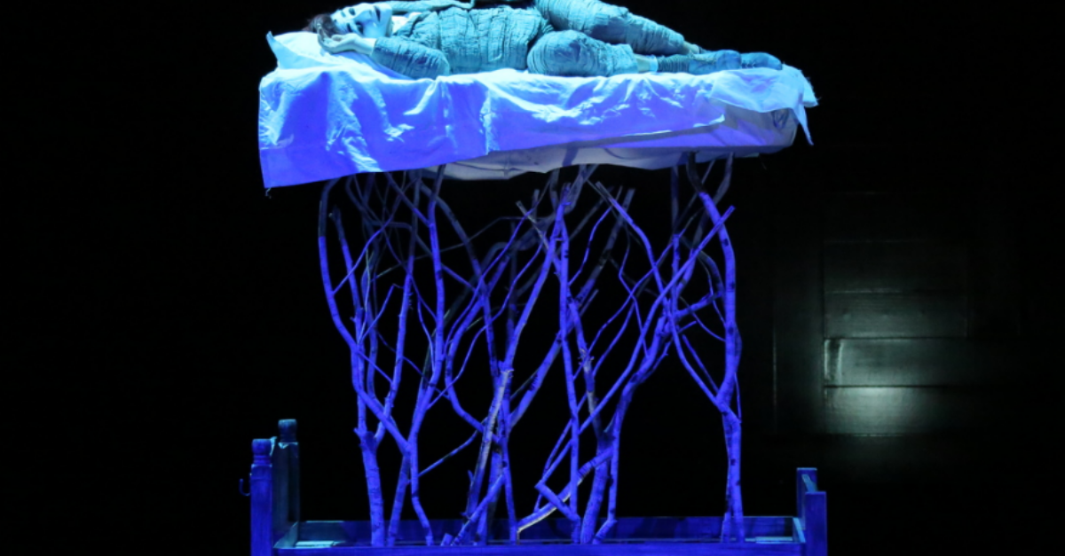 Julie Taymor’s A Midsummer Night’s Dream Screened at BAM Tonight | Playbill