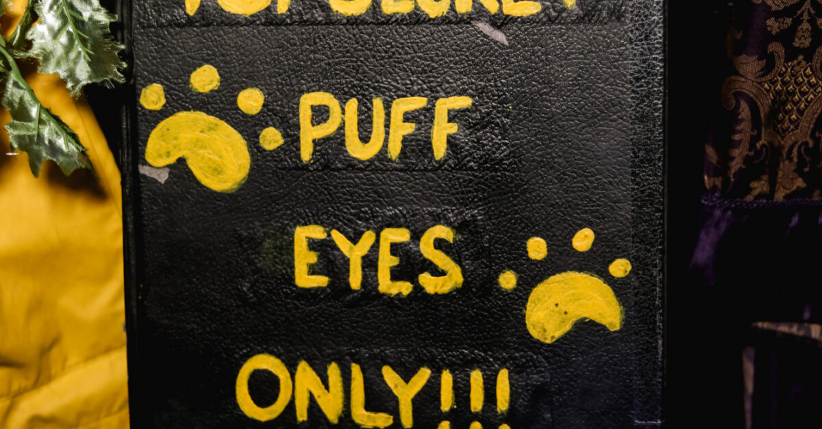 Get Up Close With the Props of Harry Potter-Inspired Puffs | Playbill