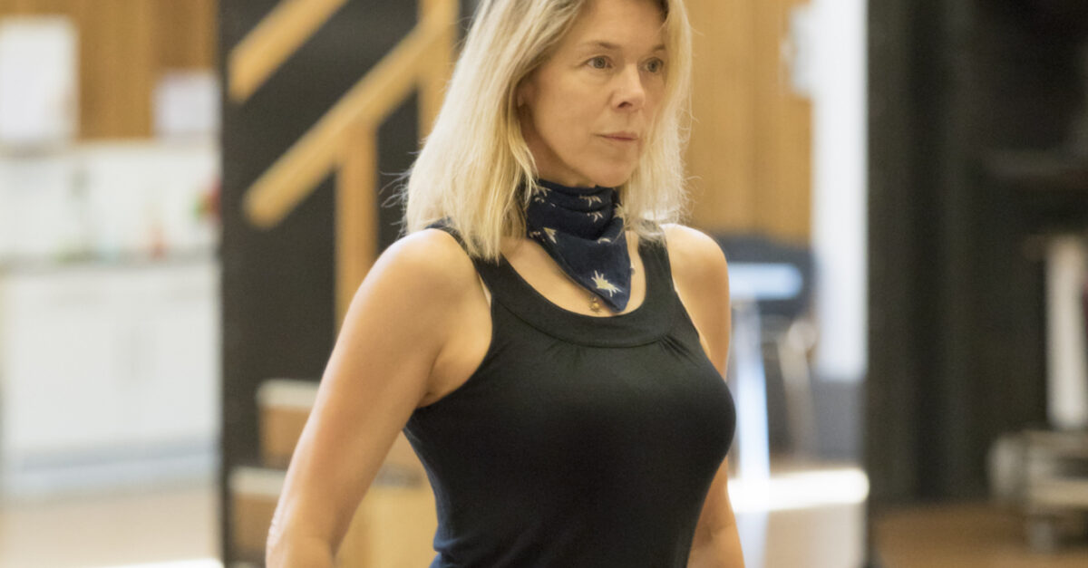 Follies Alum Janie Dee and More to Appear in New Musical The Happy ...