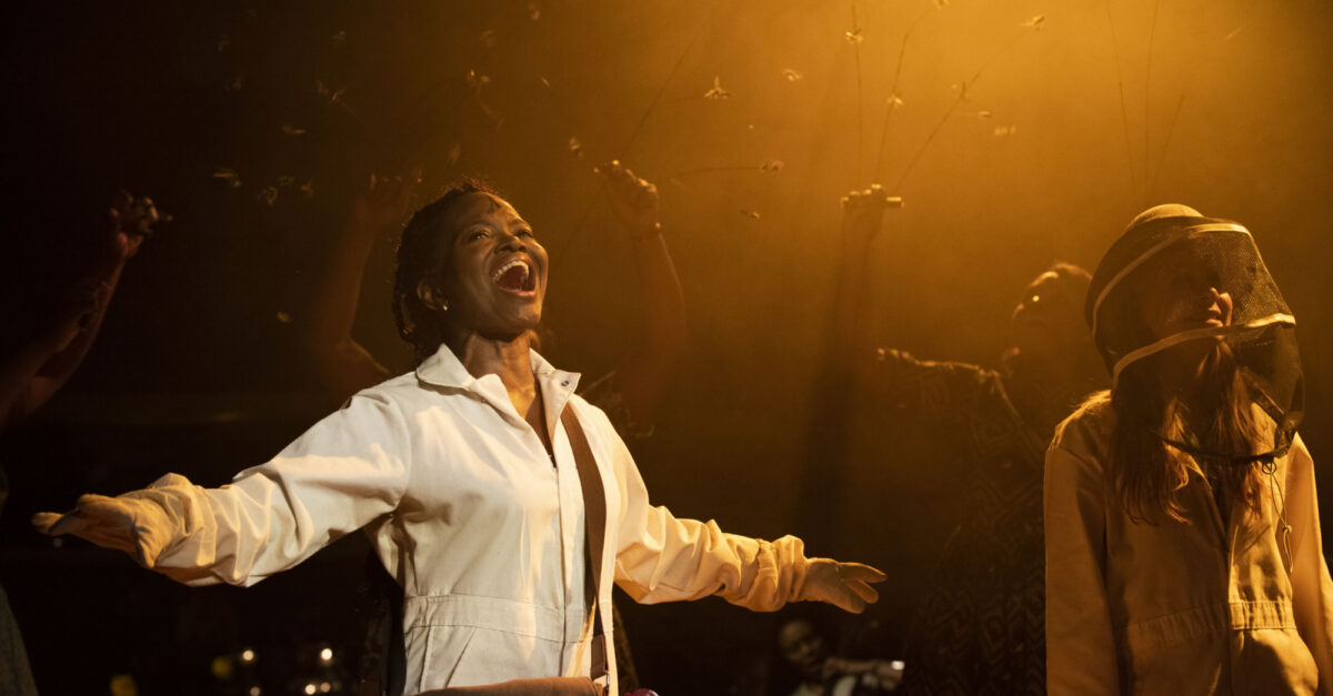 Celebrate Tony Award Winner LaChanze With a Look at Her Stage ...