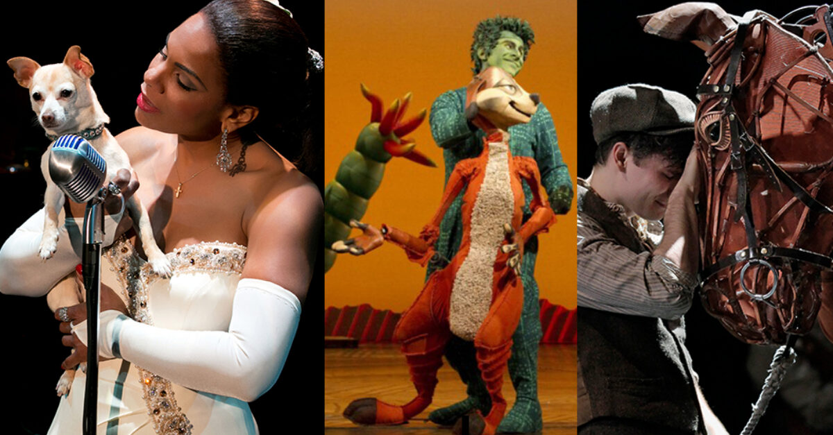 How Well Do You Know the 4-Legged Characters of Broadway? | Playbill