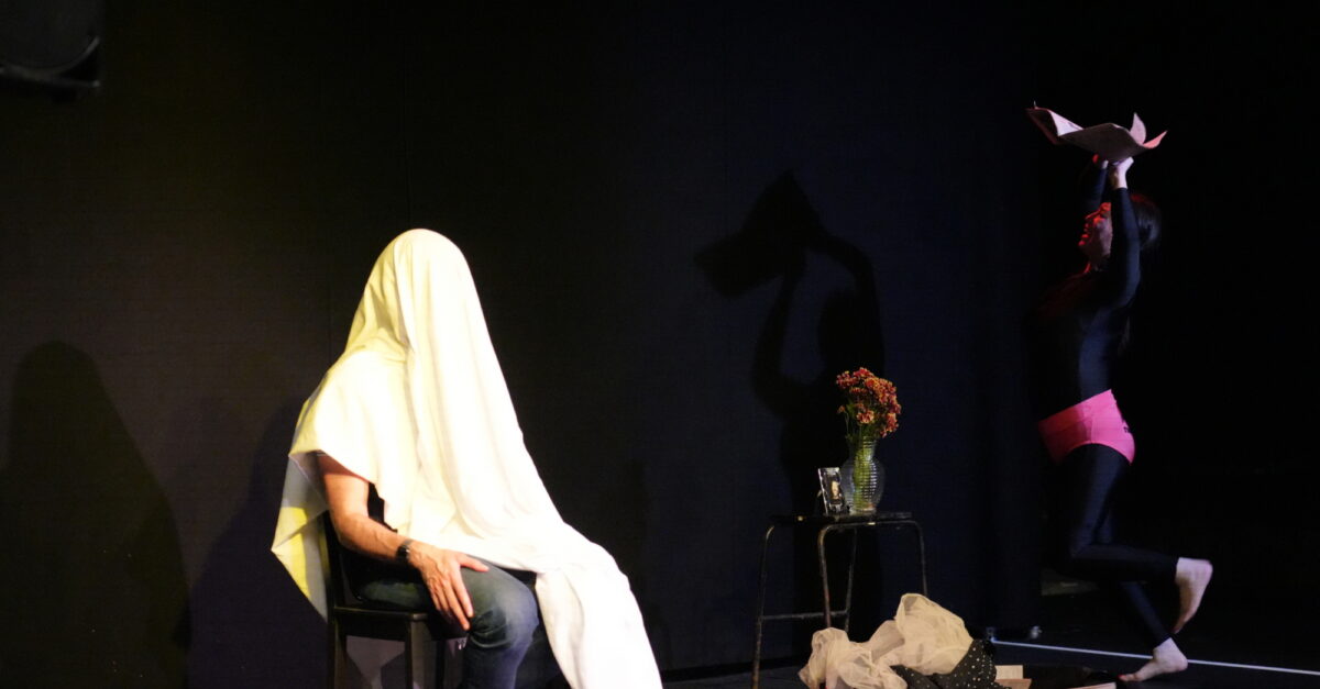 Photos: Go Inside Signature Theatre's 2024 Gala With Appropriate Cast ...