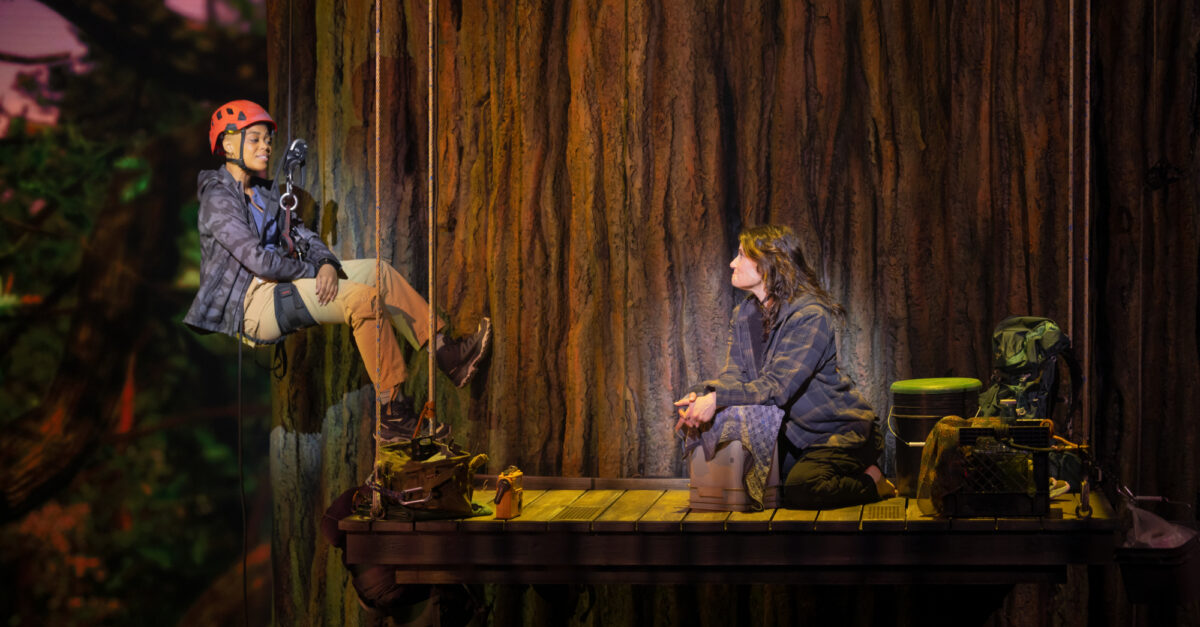 5 Reasons to See Redwood On Broadway | Playbill