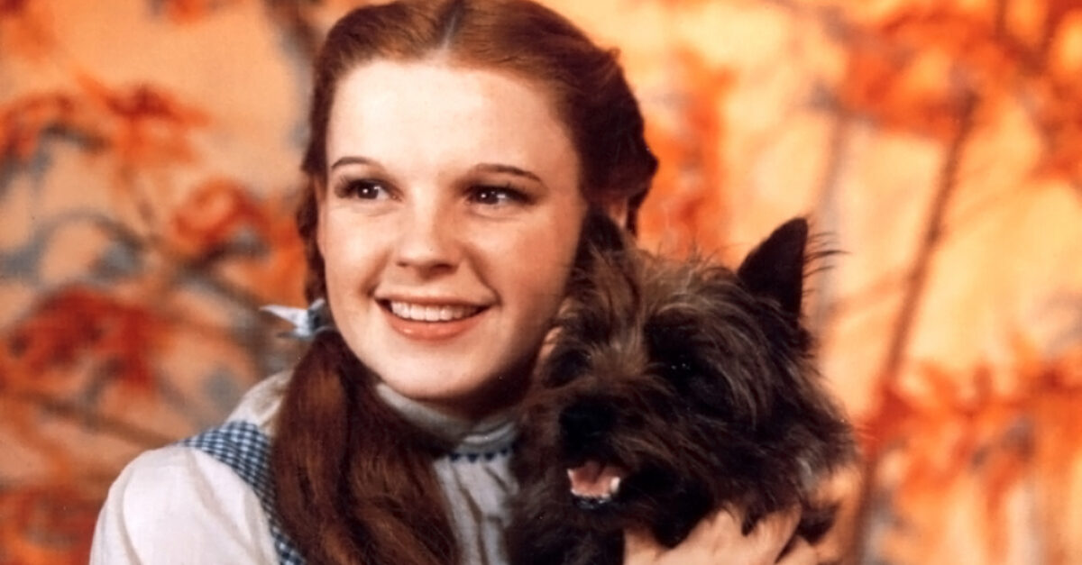 The Judy Garland Museum Needs Your Help to Get the Ruby Slippers Back ...