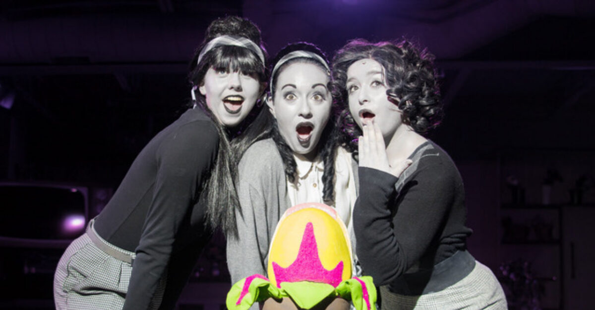 Check Out Exit 82’s Twilight Zone-Inspired Little Shop of Horrors ...