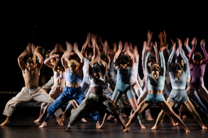 Photos: Black Swan at A.R.T. | Playbill