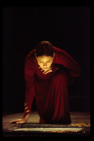 Medea on Broadway | Playbill