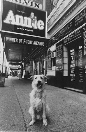 40 Years Later: Celebrating Annie on Broadway and Beyond | Playbill