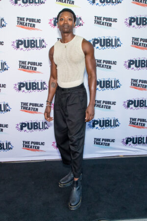 Check Out Photos of A Brief Intermission Celebrating the Delacorte ...