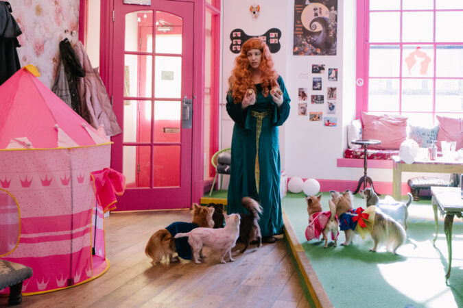 The Diva Pups of the Edinburgh Chihuahua Cafe | Playbill