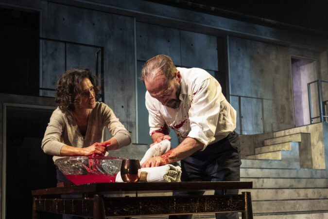 Photos: Ralph Fiennes and Indira Varma in Macbeth | Playbill