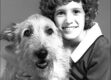 40 Years Later: Celebrating Annie on Broadway and Beyond | Playbill