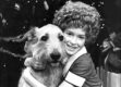 40 Years Later: Celebrating Annie on Broadway and Beyond | Playbill
