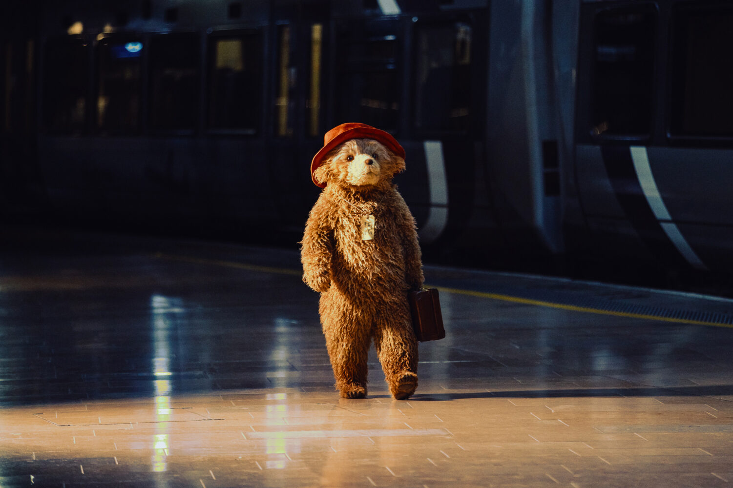 Pink Confirms Paddington Is Coming to Broadway Next Season | Playbill