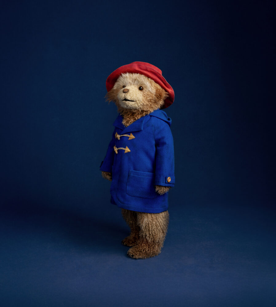 Pink Confirms Paddington Is Coming to Broadway Next Season | Playbill