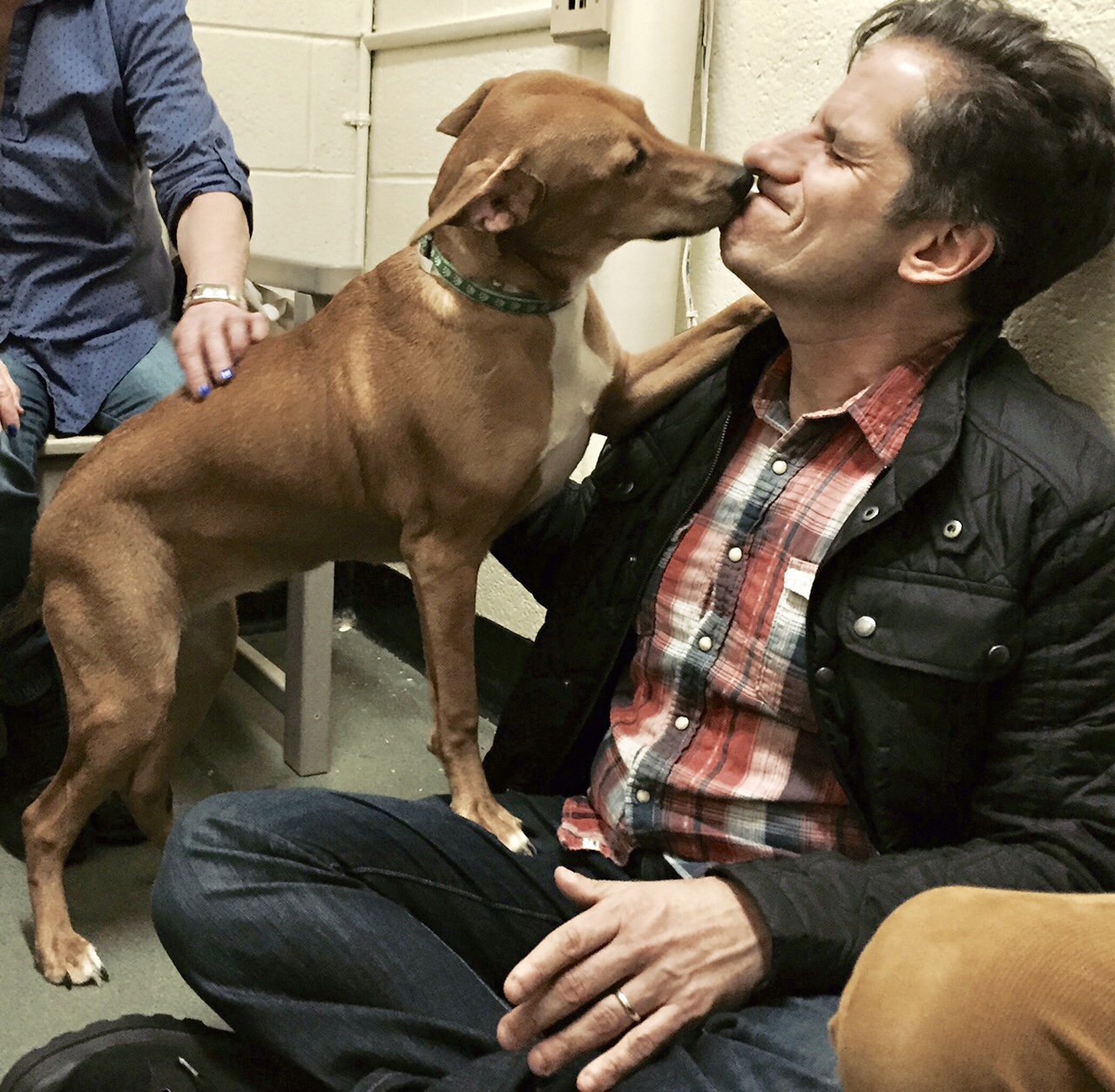 Seth Rudetsky On Being This Year’s Best in Shows Honoree | Playbill