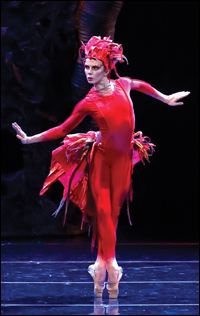 Adam Bock's A Small Fire, With Pawk, Birney, Keenan-Bolger, Williams ...