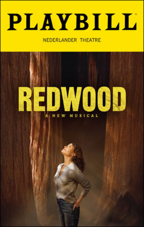 See the First Playbill Covers of 2025 | Playbill